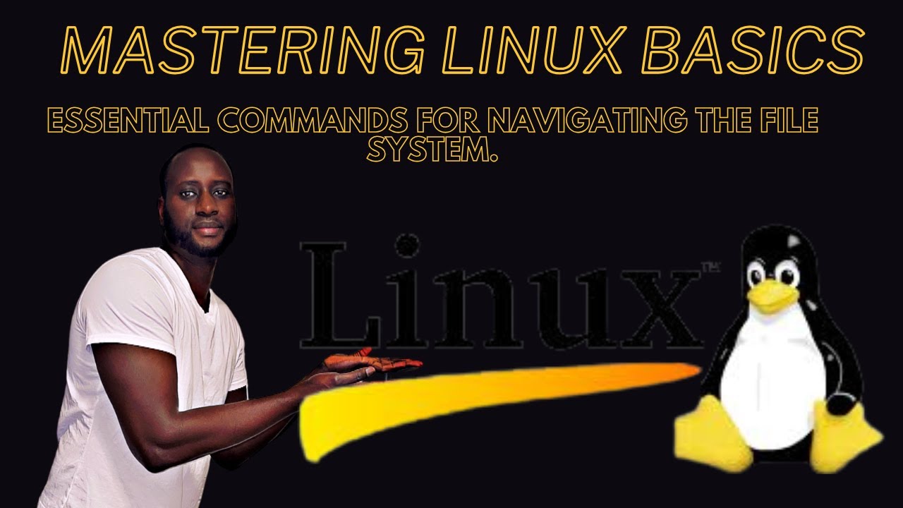 Linux Basics File System Navigation Commands Pwd Ls Cd Ls L And 6703