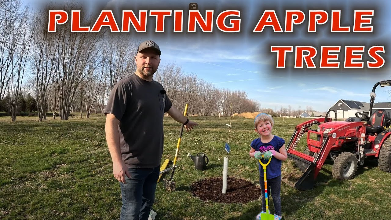 Planting Apples Trees in Our Backyard! - YouTube