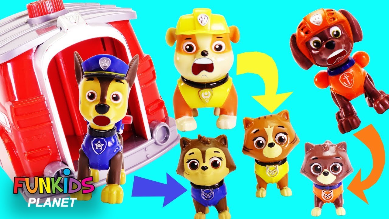 Paw Patrol Pups Transform into Cats in Magical Rescue House - YouTube