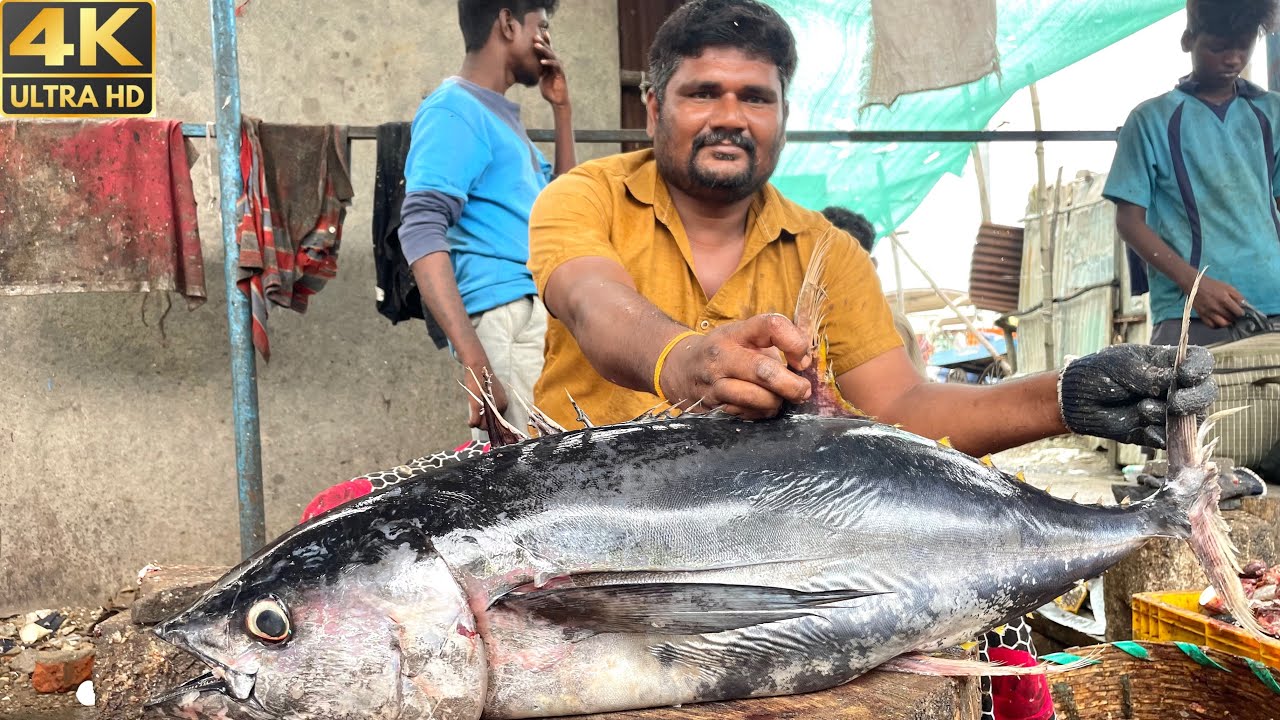 | KASIMEDU SMALL SELVAM TUNA 🍣 FISH CUTTING | FRESH FISH CUTTING |🔪🔥 ...