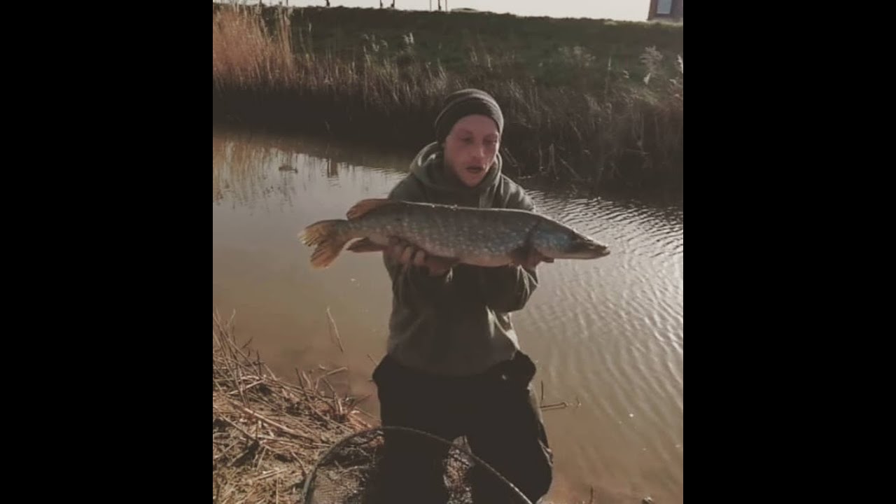 Ditch fishing for pike. - YouTube