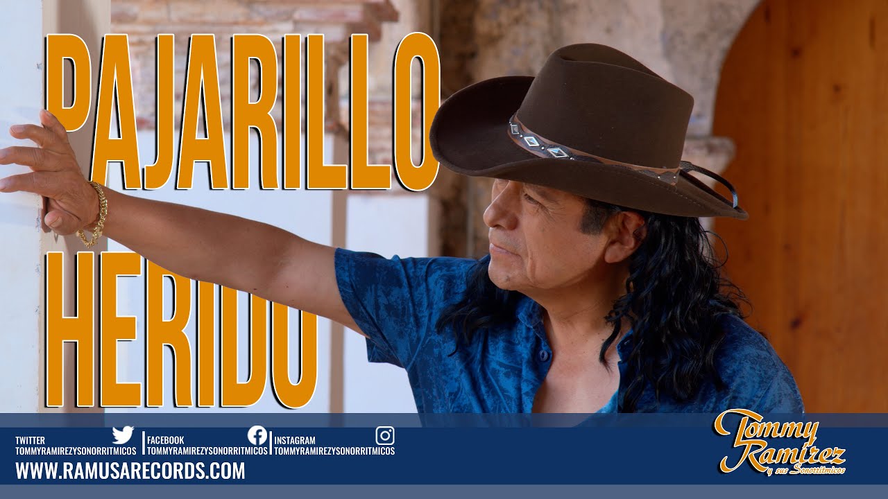 Pajarillo Herido - Tommy Ramírez y Sus Sonorritmicos (Official Video ...
