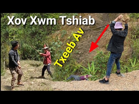 Xov Xwm [18/8/2022] Txiv Laus Thb Tu Txiv Hluas Sib Txeeb Teb Ntoo Yas Sib Ntaus Txaus Ntshai ...