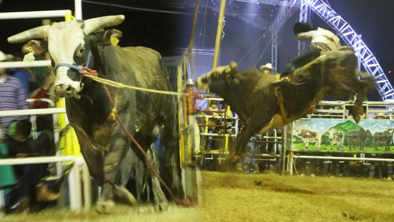 ¡ESTE ES EL TORO MÁS GRANDE, MÁS IMPONENTE Y EN MEJOR MOMENTO DE ESTE ...