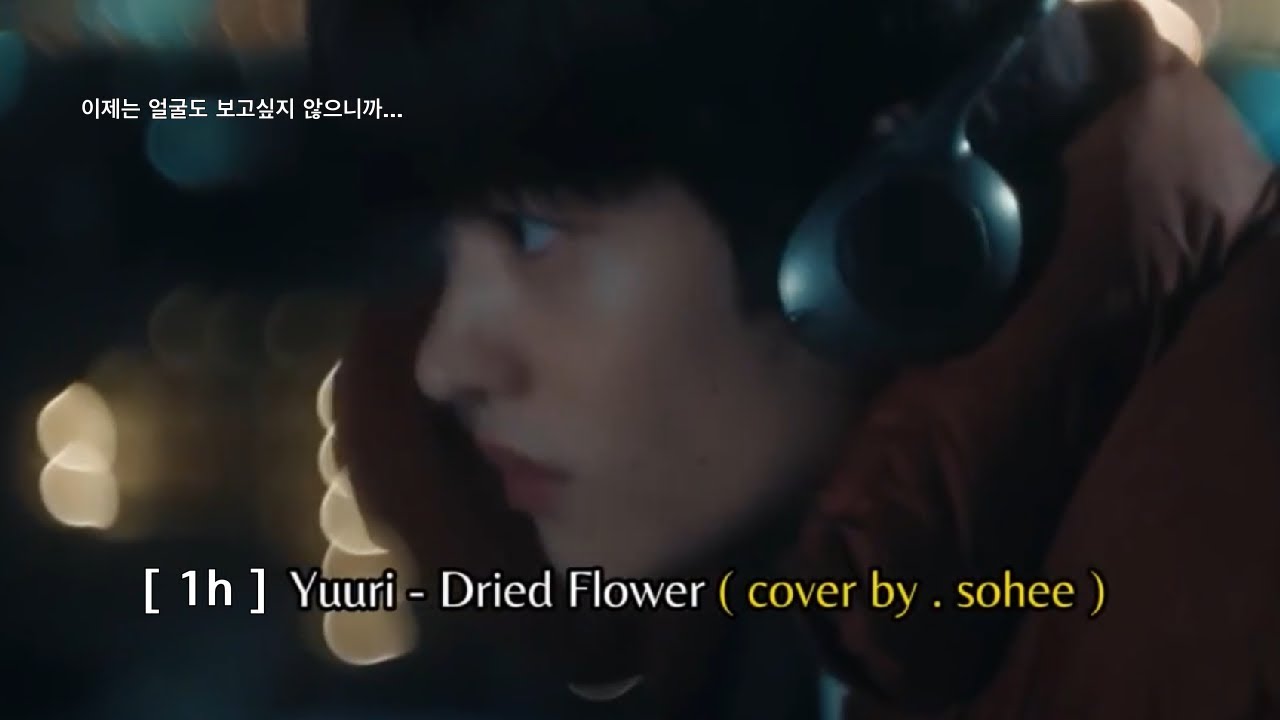 💧[ 1h ] Yuuri - dried flower ( cover by sohee ) - YouTube