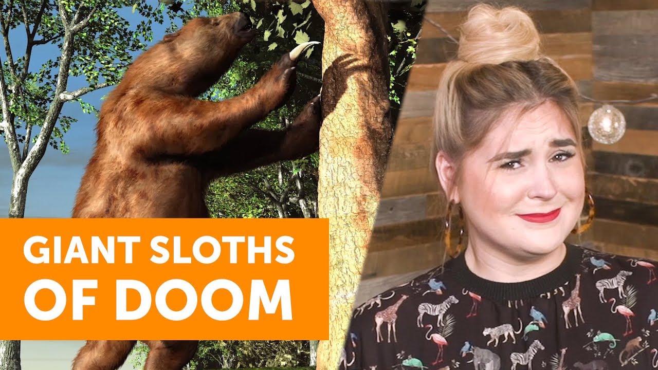 Ground Sloths and Their Tunnels - YouTube