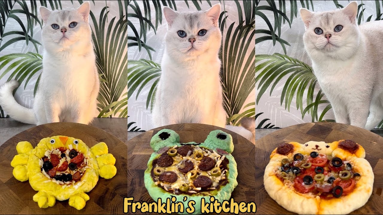 Meow 😸 Cat Chef makes Yummy and Cute Pizzas 🍕🐥🐸🐻 - YouTube