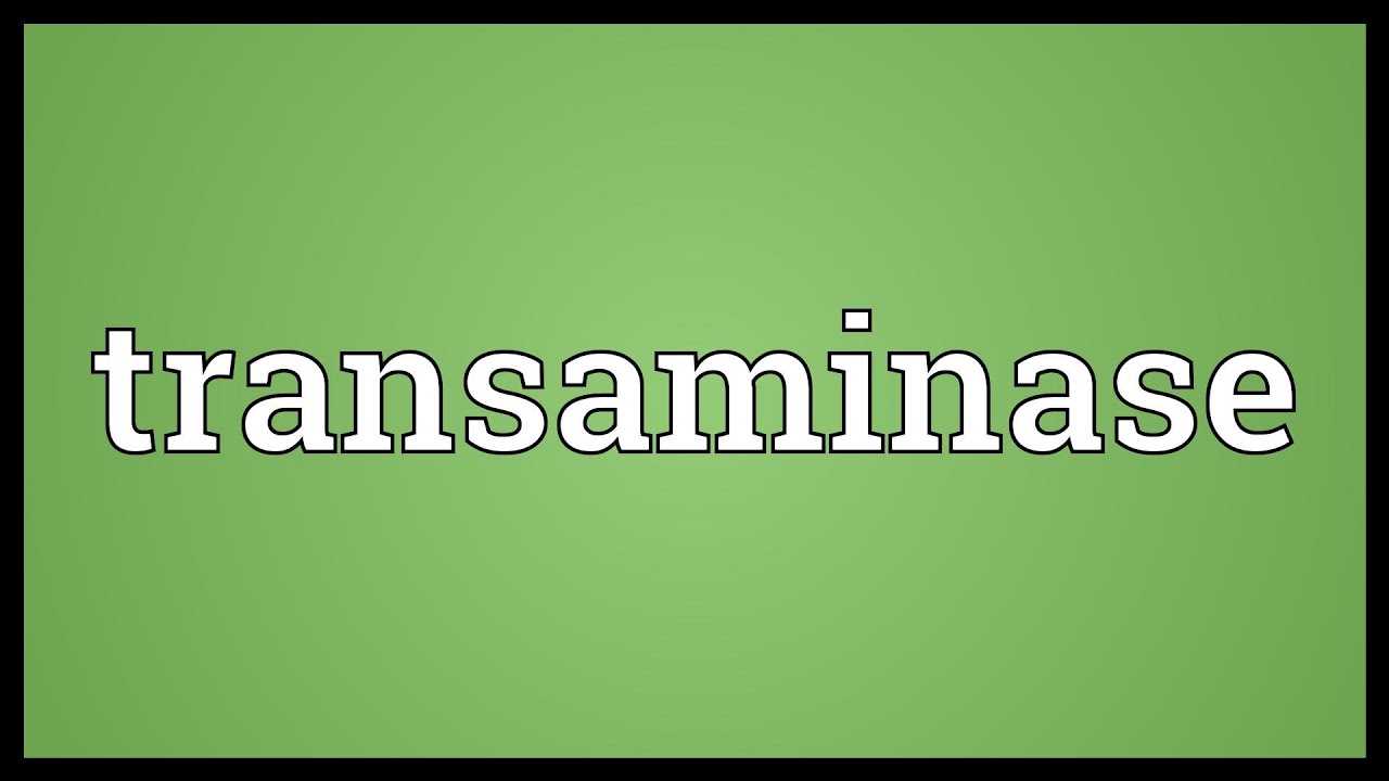 Transaminase Meaning - YouTube