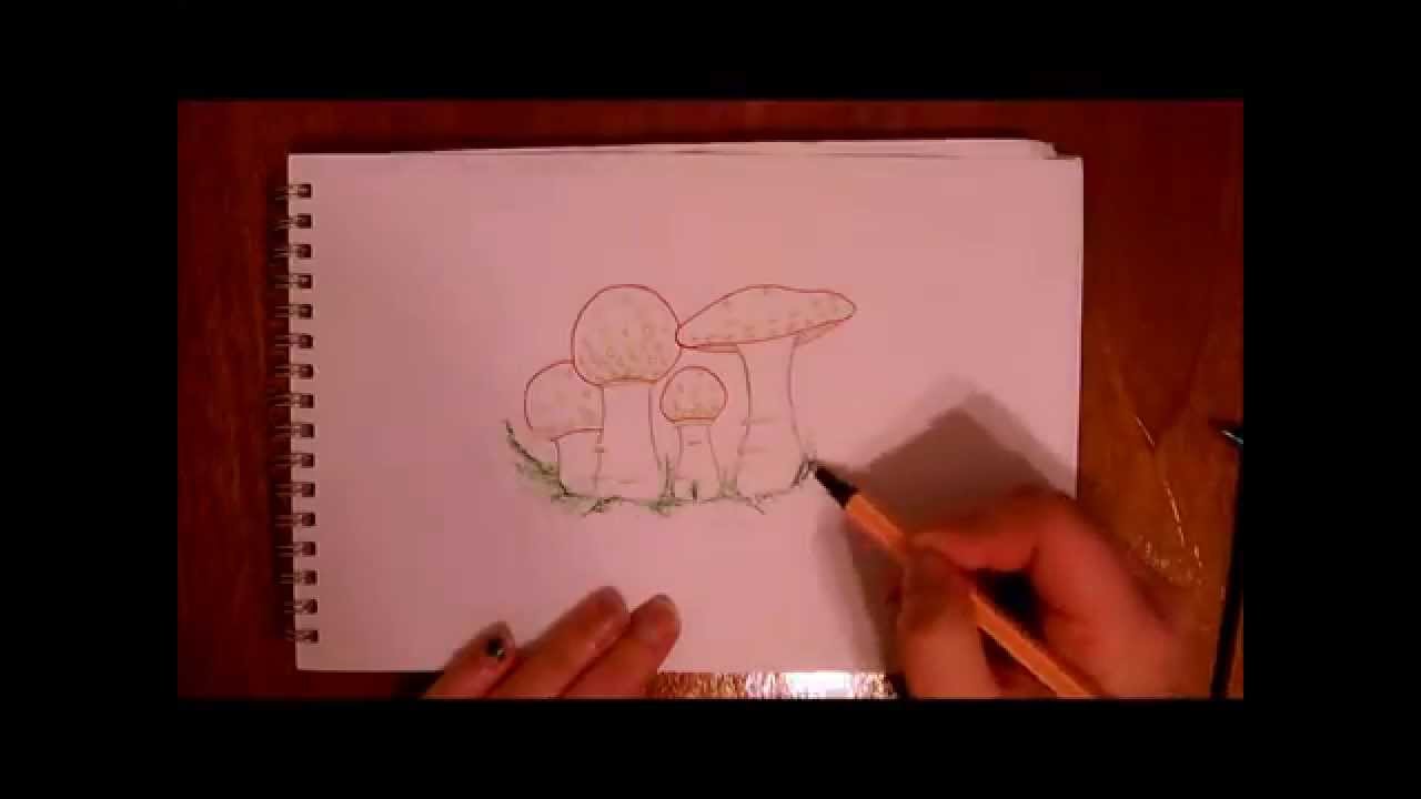 Toadstools - Drawing - YouTube