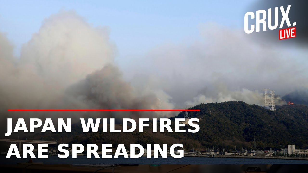 LIVE | Wildfires Scorch Over 460 Hectares In Japan, Mass Evacuations On ...