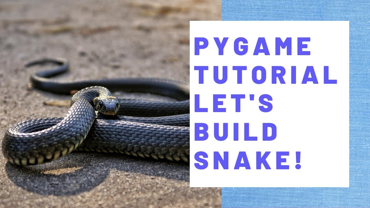 Pygame Tutorial Let s Build Snake YouTube Pygame Tutorial Let s Build Snake YouTube
