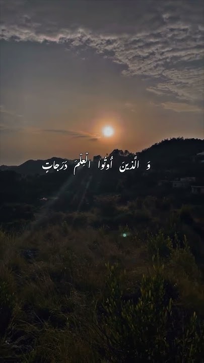 يَرْفَعِ اللَّهُ الَّذِينَ آمَنُوا مِنكُمْ وَالَّذِينَ أُوتُوا