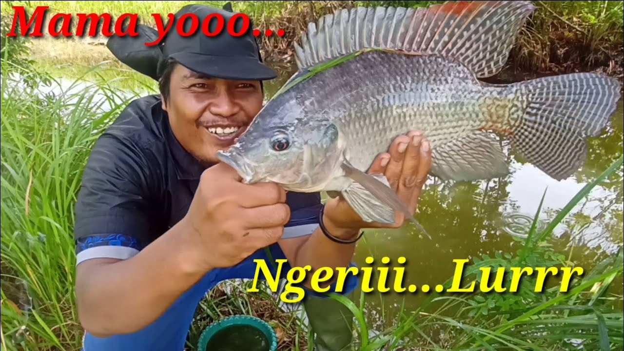 Mama Yoo mama Yoo babon #petualangangmc #mancingambyar - YouTube