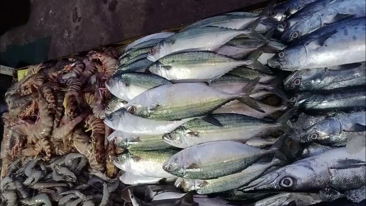 this sunday nagapattinam fish verity in chandra fish stall🐟🐠🦈🐙🦀🦞🦐 - YouTube