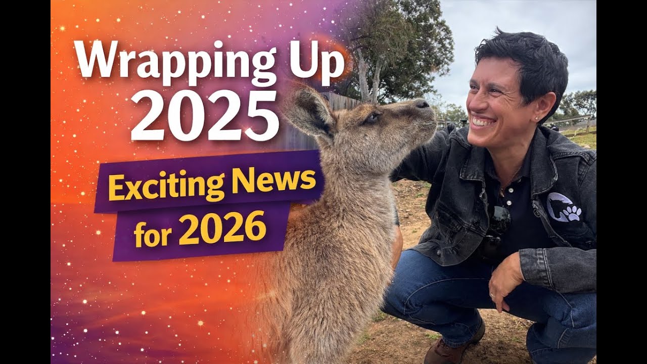 Big Updates + Exciting News for 2026 - YouTube