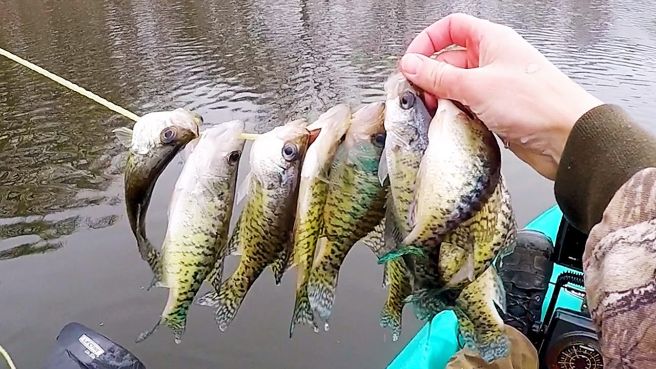 Crappie Fishing With A Jig In The Winter FISHING SKIM ICE - YouTube