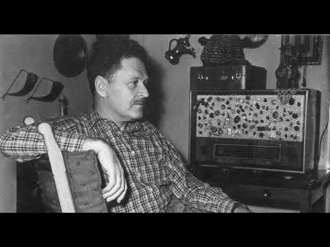 Nazım Hikmet - Sesini Kaybeden Şehir