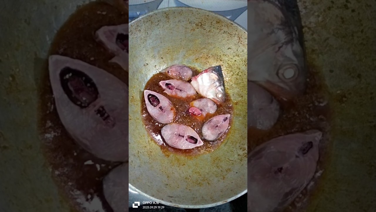 ASSALAMUALAIKUM, TOK DIYA ELIS MACH 🤤. AWESOME 👍. #youtubeshorts # ...