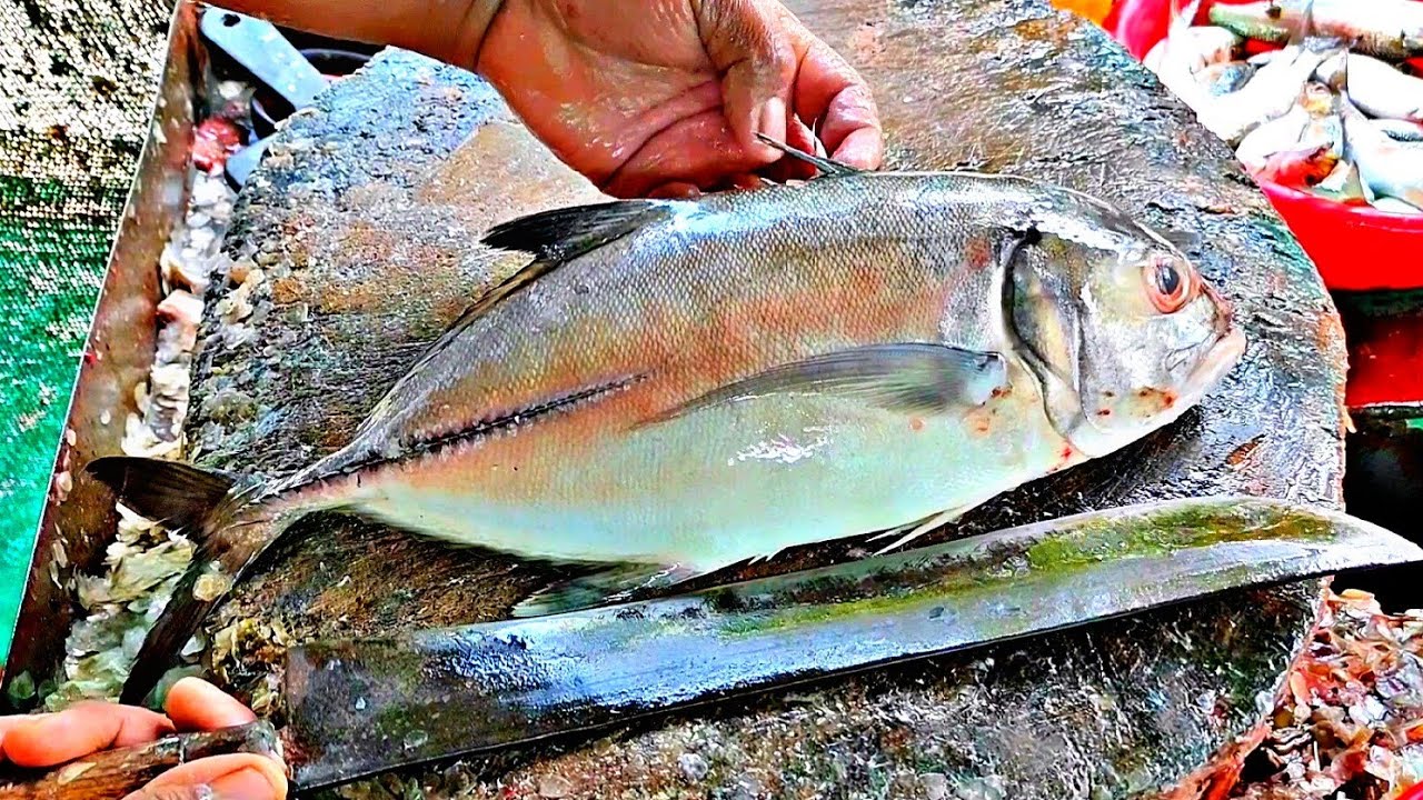 Amazing Fish Cutting Skills!! Giant Trevally Fish Cutting Skill ~ Cut ...