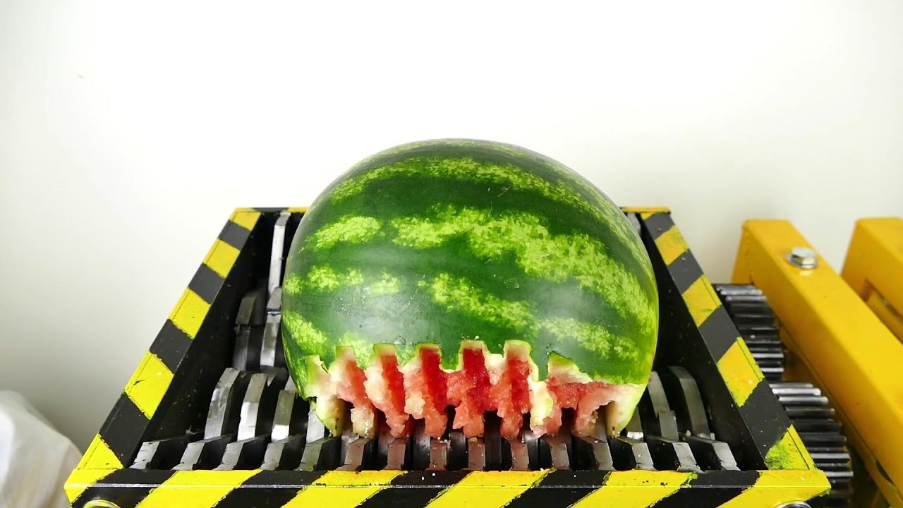 SHREDDING WATERMELON - YouTube