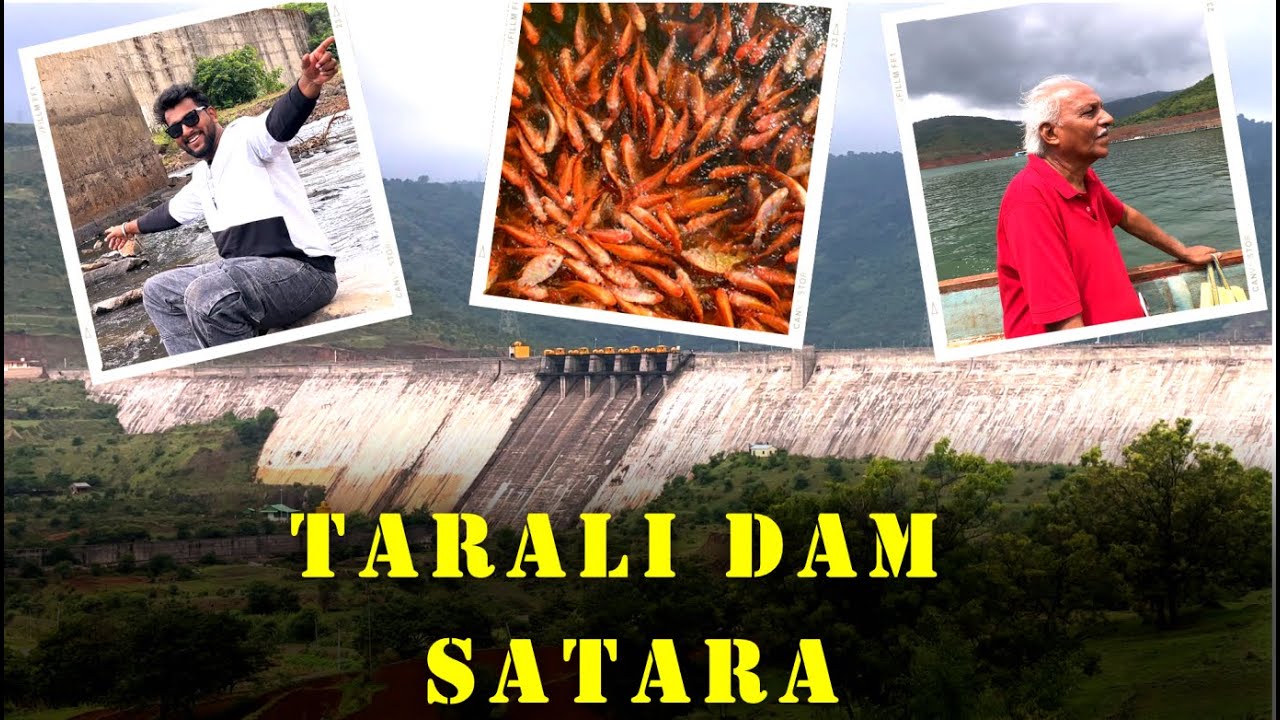 Tarali Dam Fish Farming | तारळी धरण | सातारा #2024 #satara - YouTube