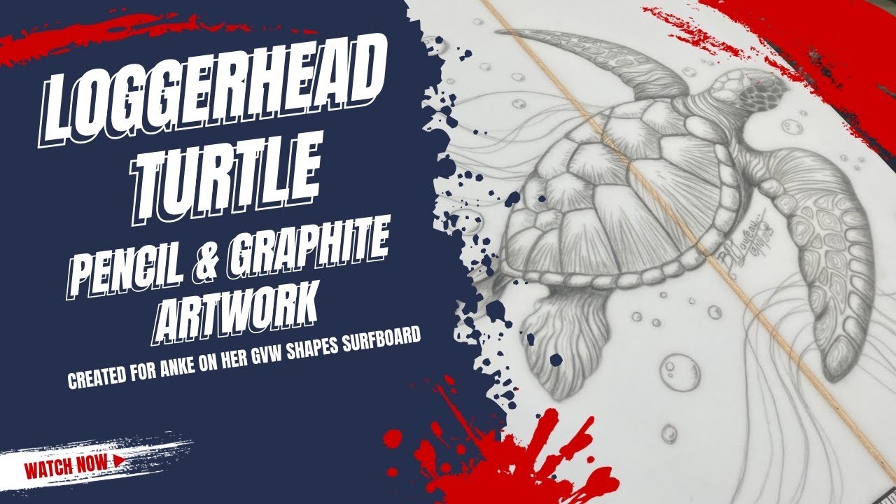 Loggerhead Turtle Artwork: Pencil & Graphite. - YouTube