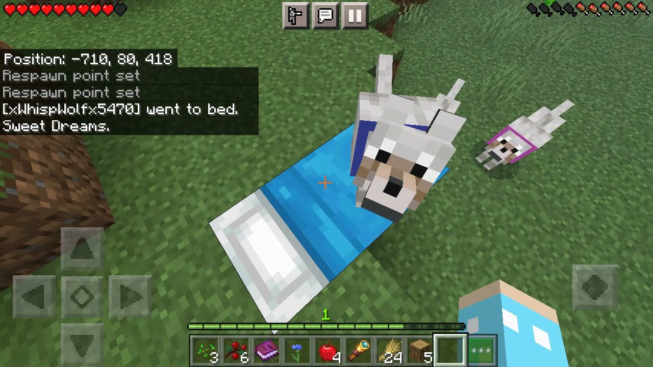 A Start and The Passing of Ember { Evergreen smp Ep. 1 season 2} Semi ...