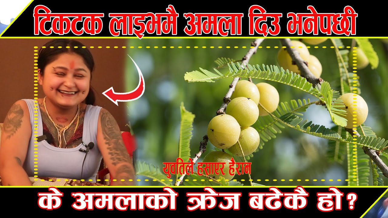 टिकटक लाइभमै युवतिलाई अमला दिउ भनेपछी, देश अमलामय बन्यो। jhapa Amala ...