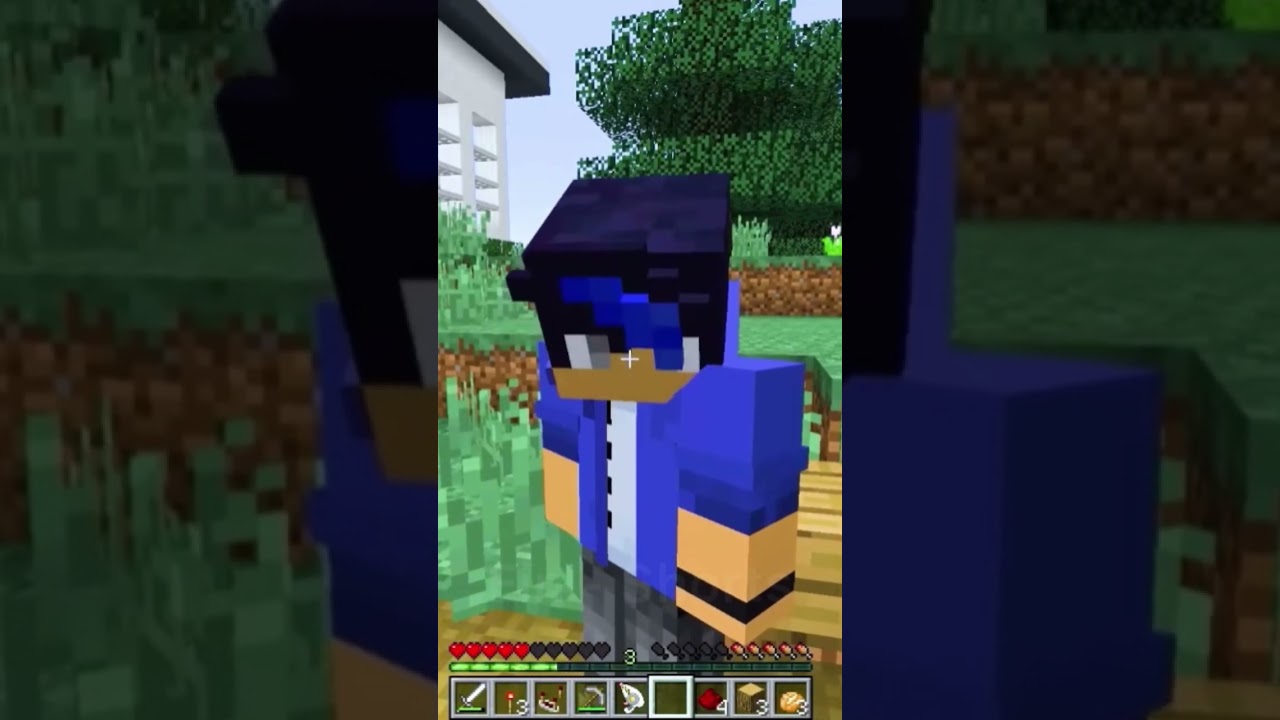 What’s Going On… | Ein | Minecraft | Aphmau | Zane | KC #shorts - YouTube