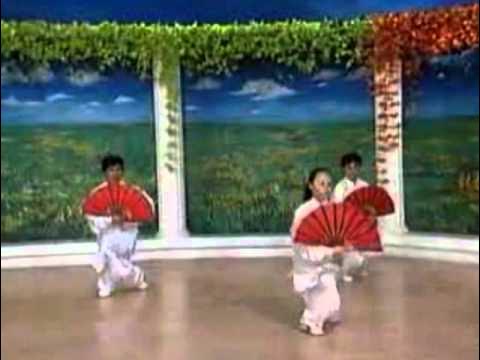 Tai Chi Kung Fu Fan - YouTube