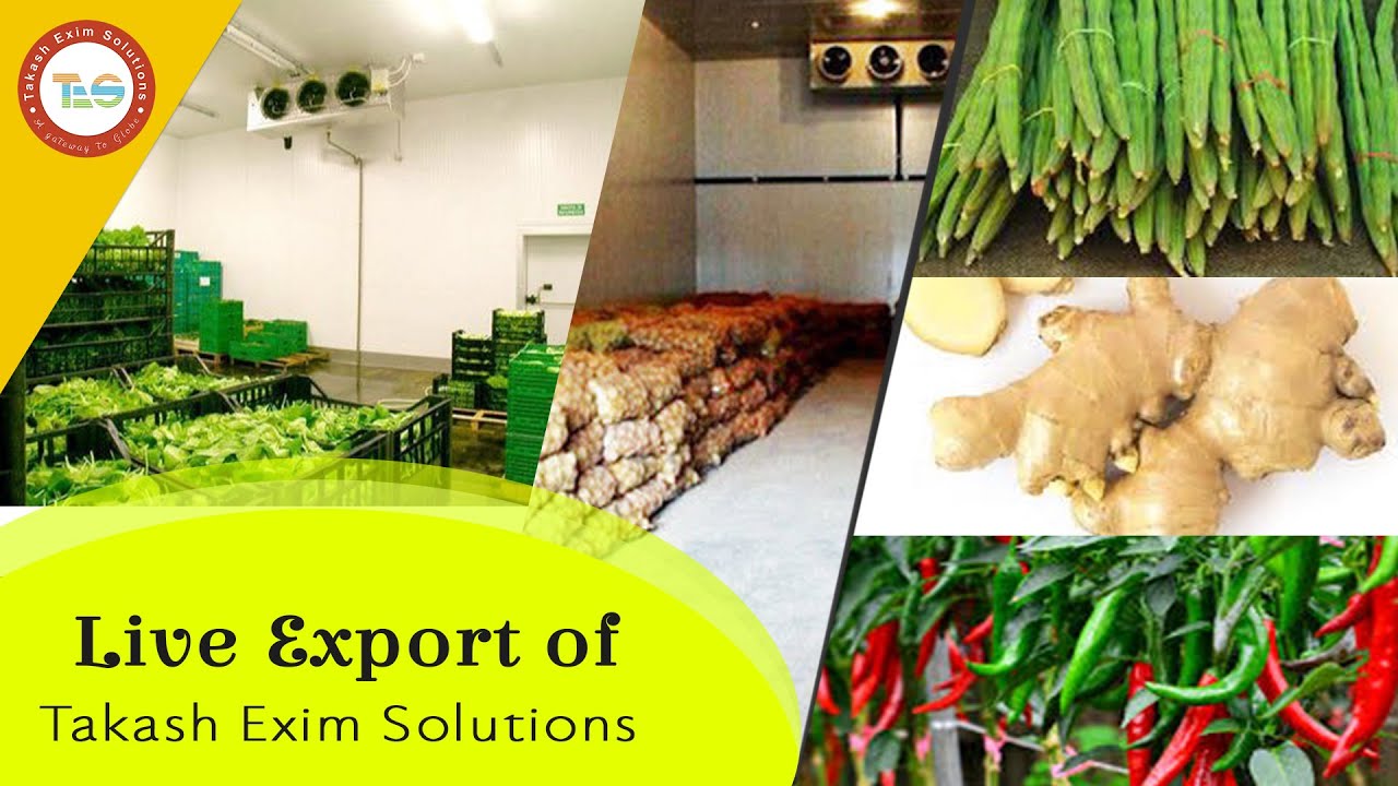 Live Export of Takash Exim | By Takash Exim Solutions - YouTube