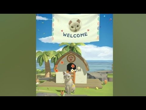 kitty cat resort #11 New cat - YouTube