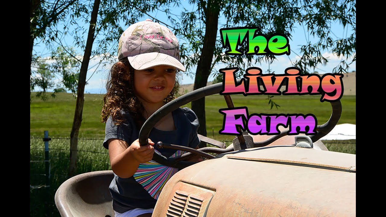 The Living Farm - YouTube