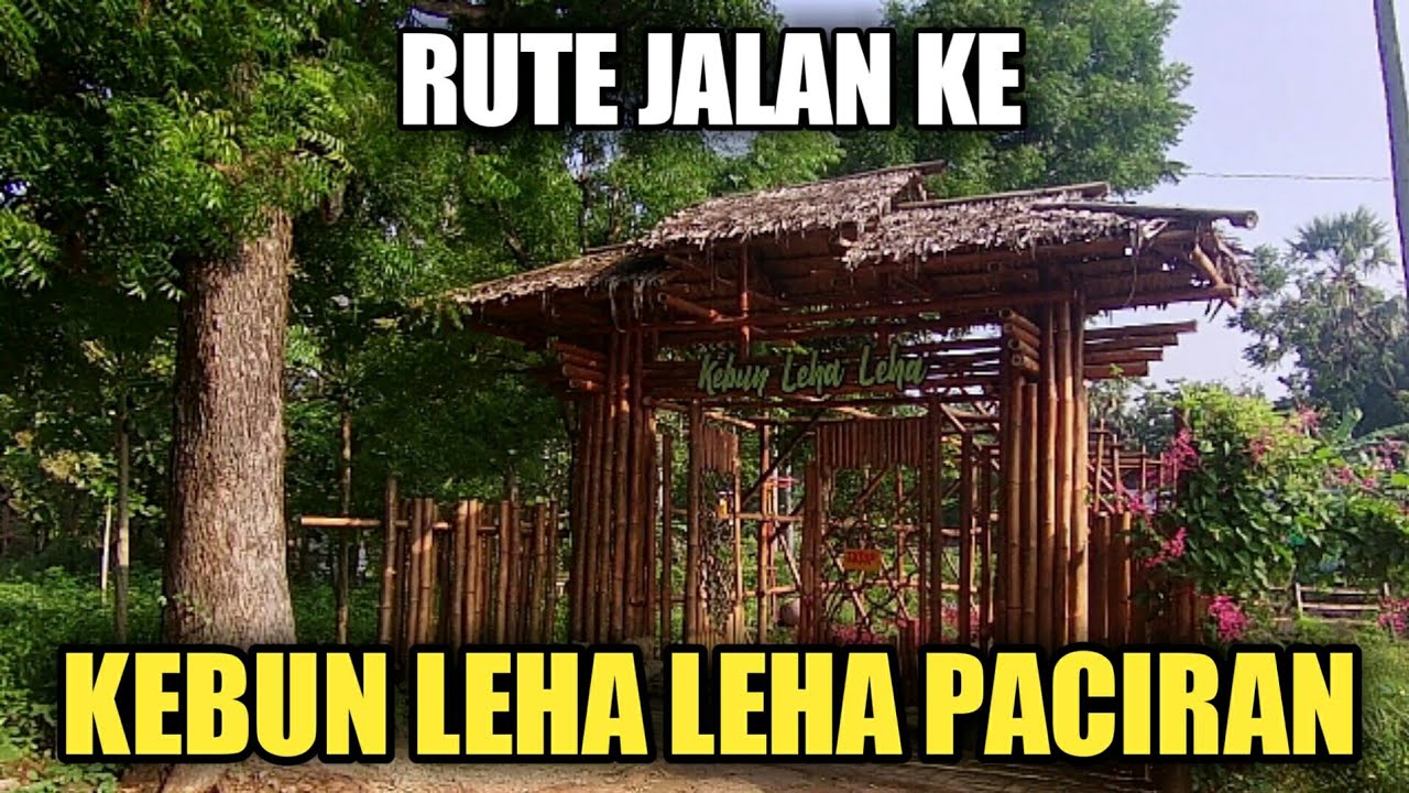 RUTE JALAN MENUJU KEBUN LEHA LEHA PACIRAN LAMONGAN | MOTOVLOG - YouTube
