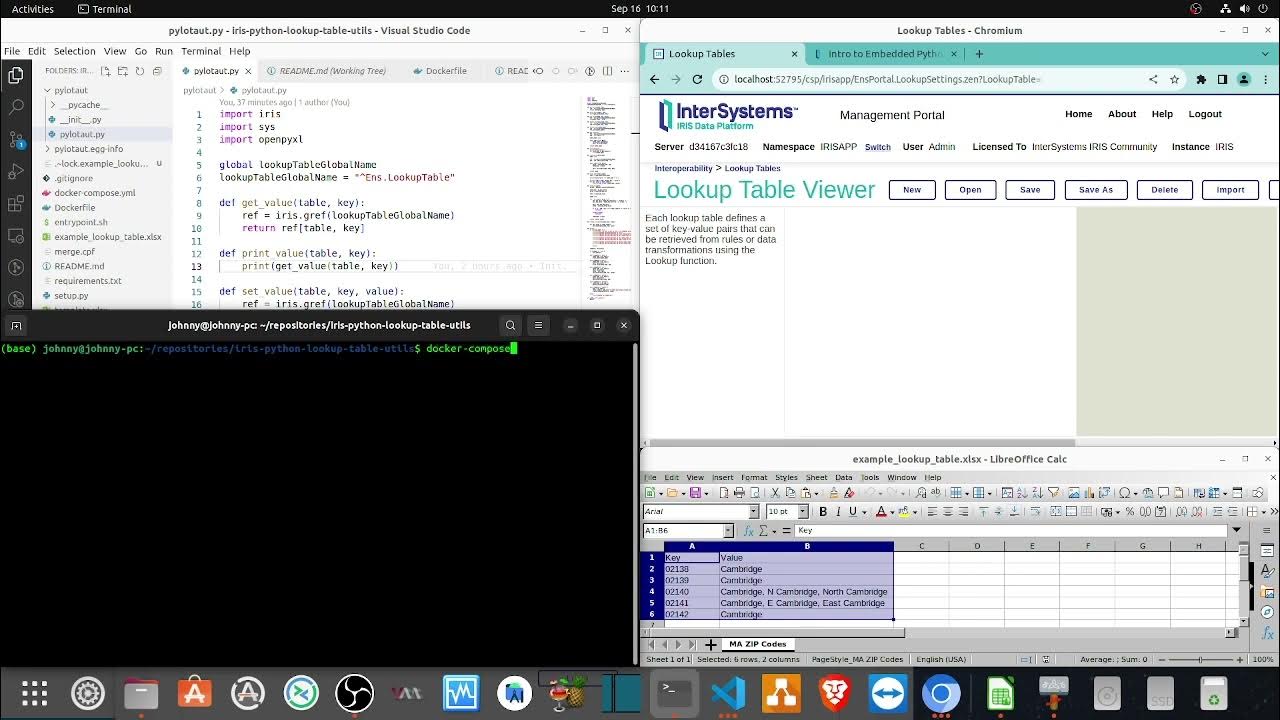 Intersystems IRIS Python Lookup Table Utils (pylotaut) - YouTube