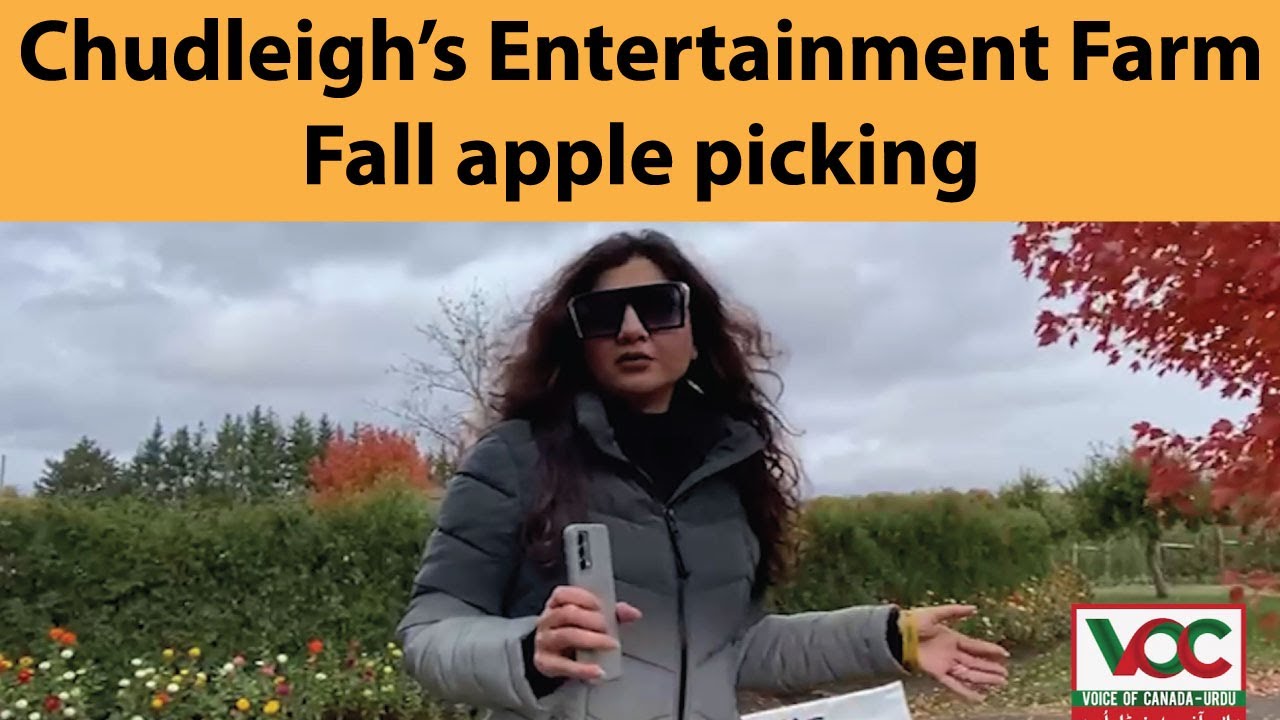 Chudleigh’s Entertainment Farm | Fall apple picking - YouTube