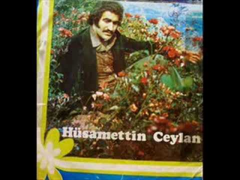 Hüsamettin ceylan-1981-hasta gönlüm