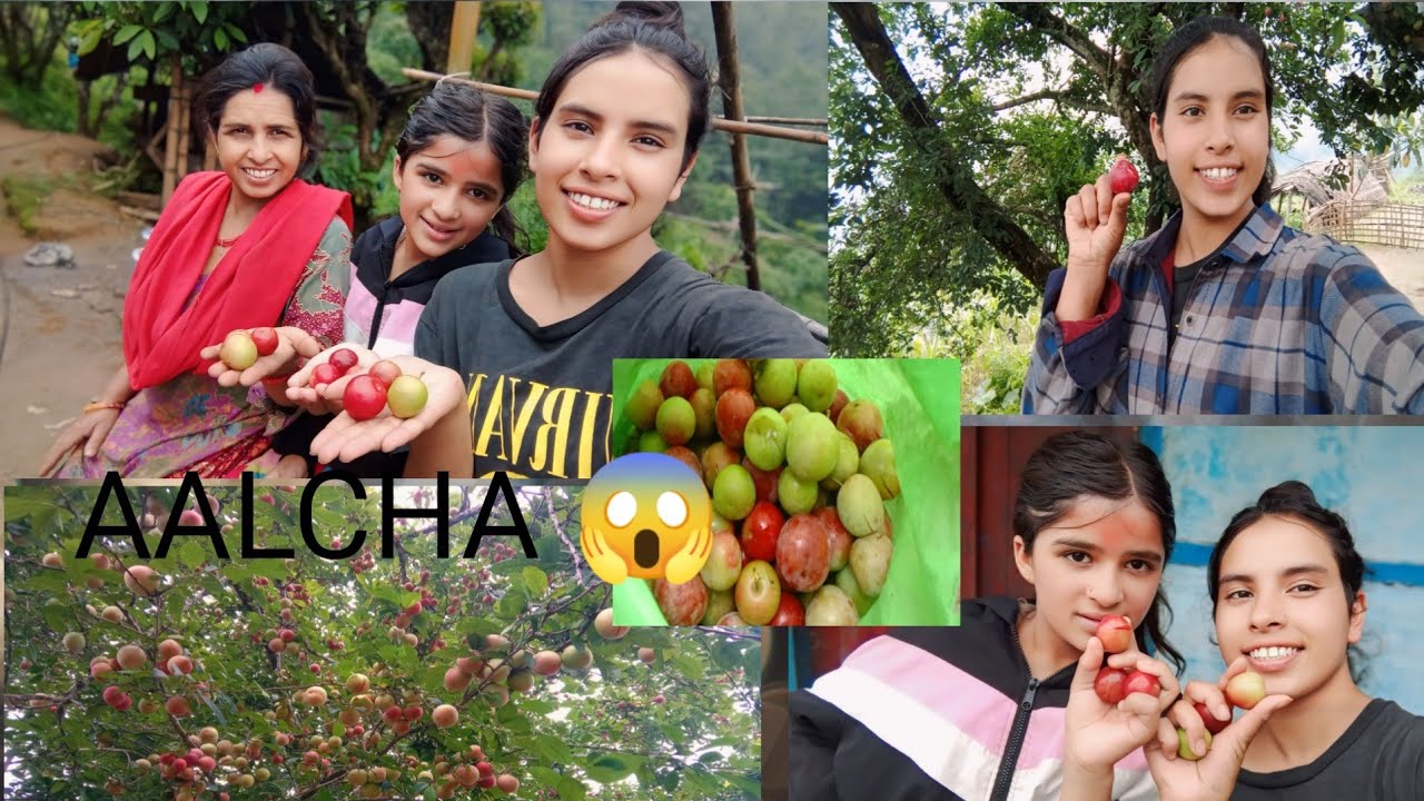 AALCHA KHANA PARi Gau GAIyo😱🤤#new vlog #vlog 36#keeplove #pleaselike ...