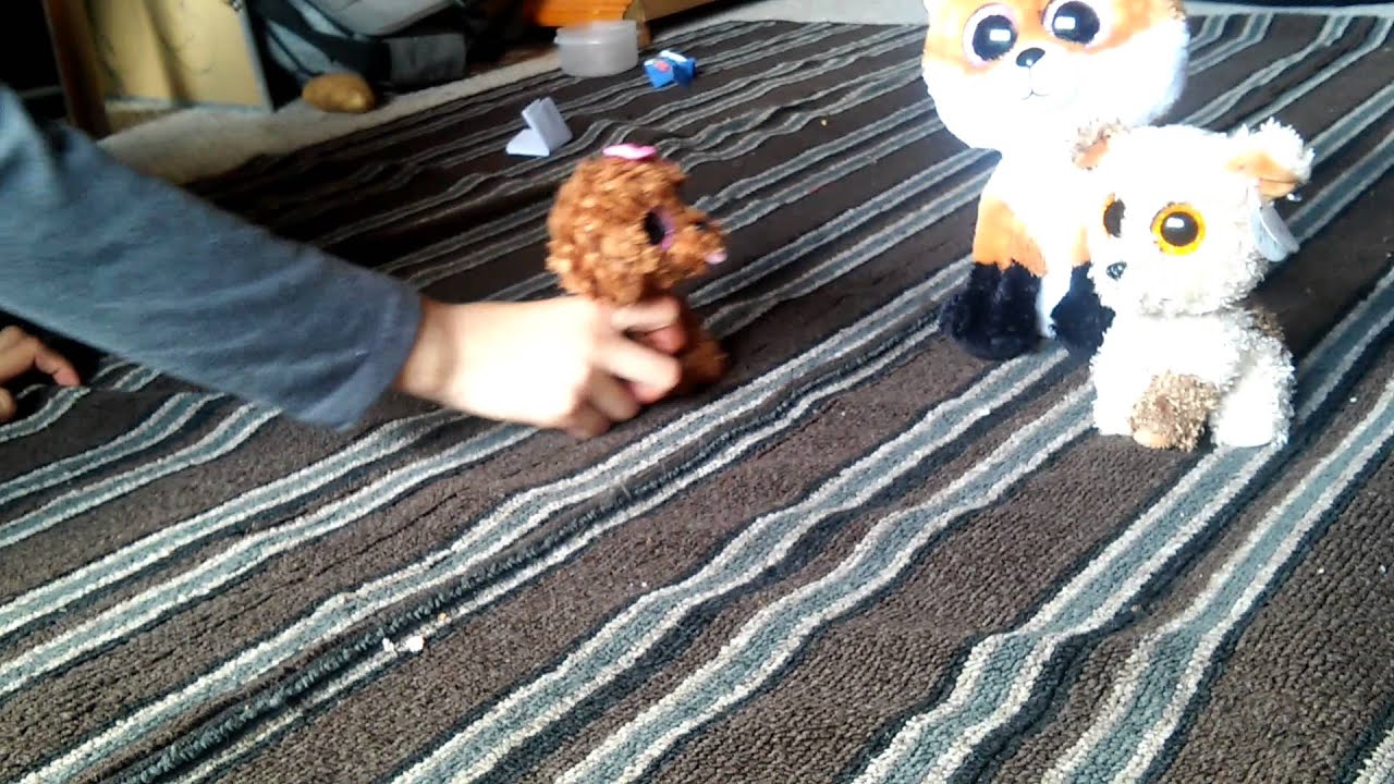 Beanie boo video: how root beer and maddie met.🐶 - YouTube