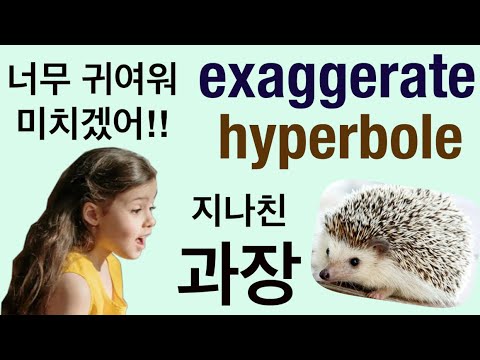 Q5 English 어휘 Lesson 538 (과장 - exaggeration vs hyperbole) - YouTube
