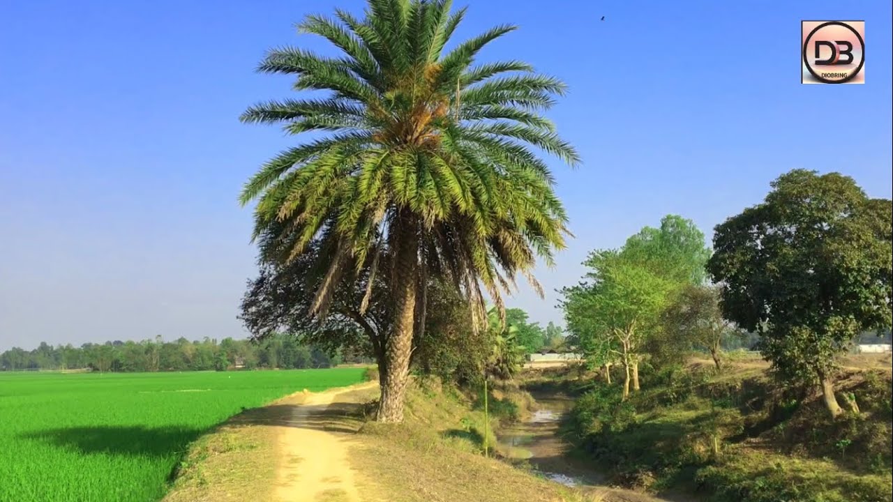 GRAMER METHO POTH | DIO BRING - YouTube