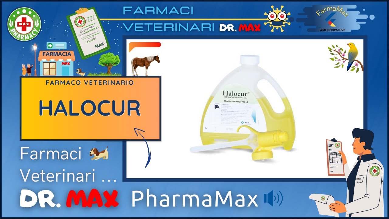 🐶 HALOCUR Farmaco Veterinario a cosa serve ? - Foglietto Illustrativo 👔 ...