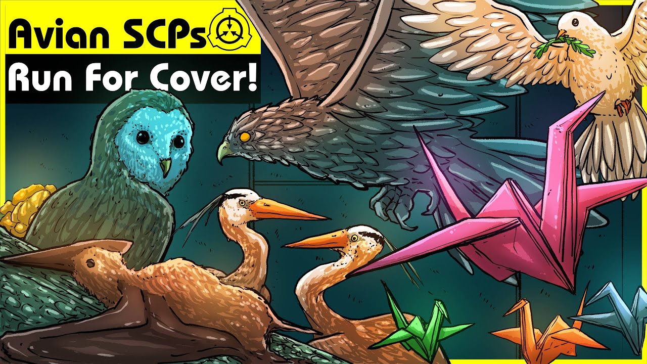 Avian SCPs (SCP Orientation Compilations) - YouTube