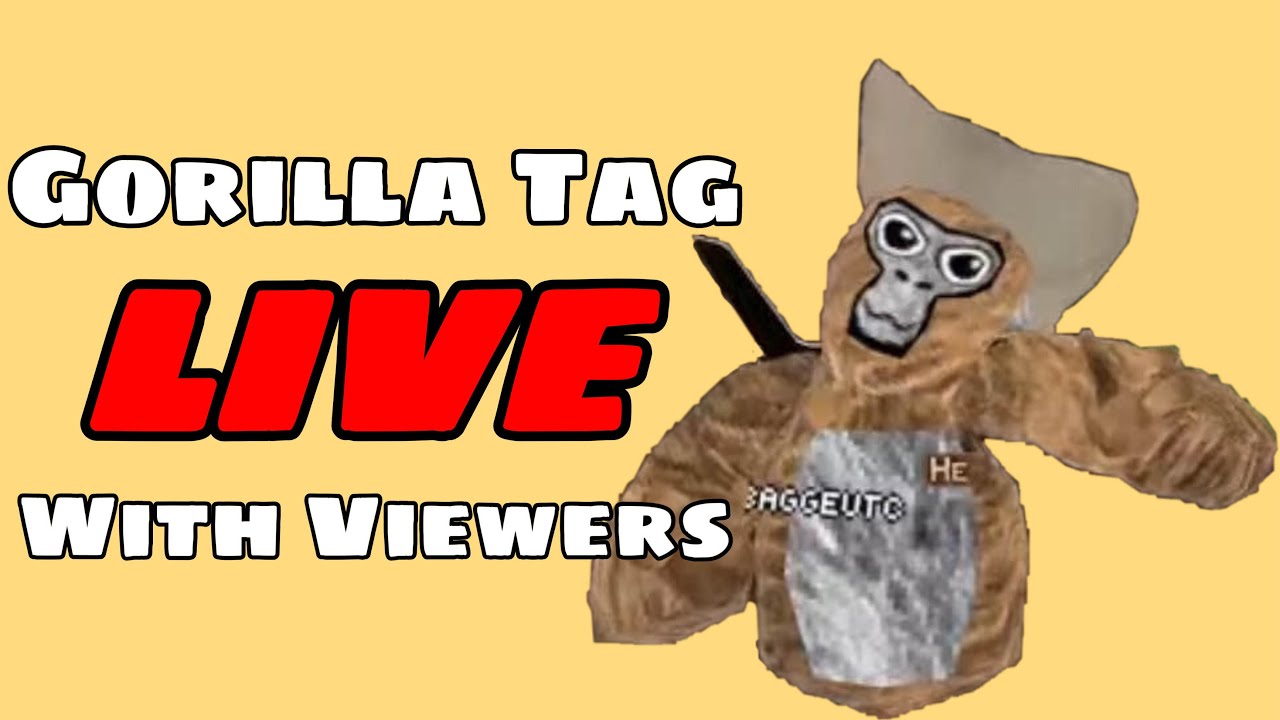 Streaming Gtag WIth Viewers!! - YouTube