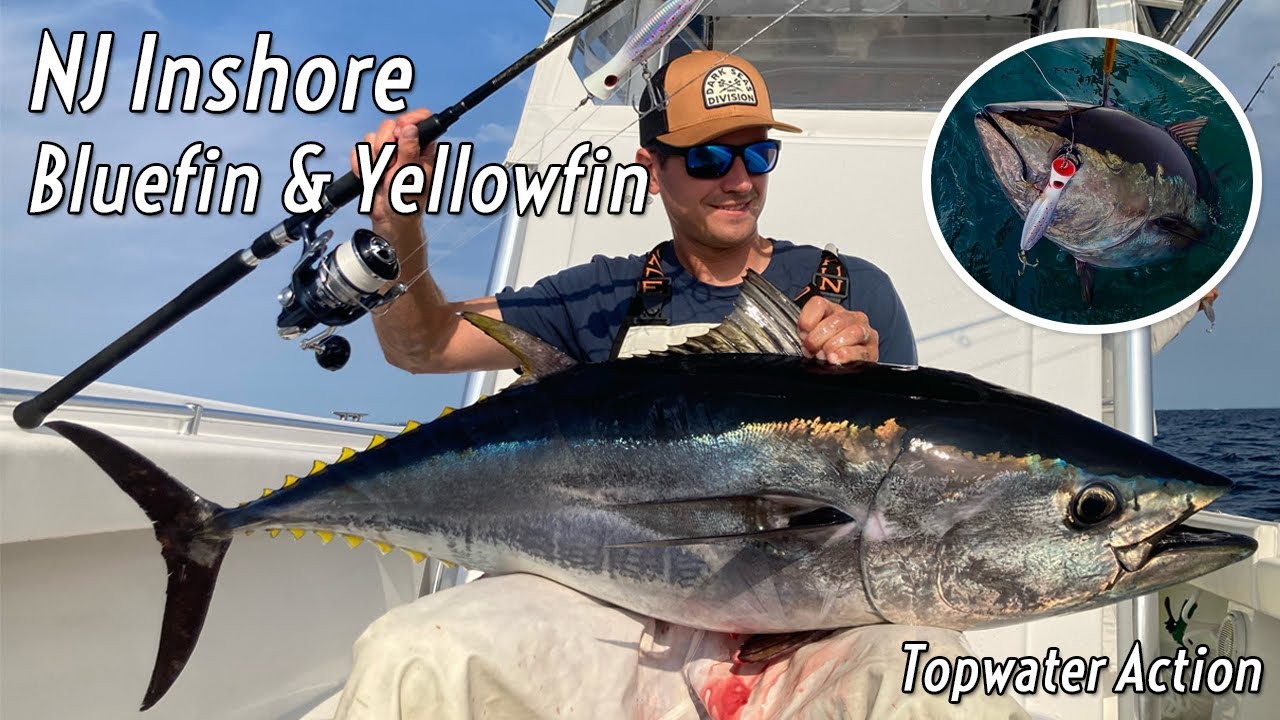 NJ Inshore Bluefin & Yellowfin Tuna Topwater Combo Trip - YouTube