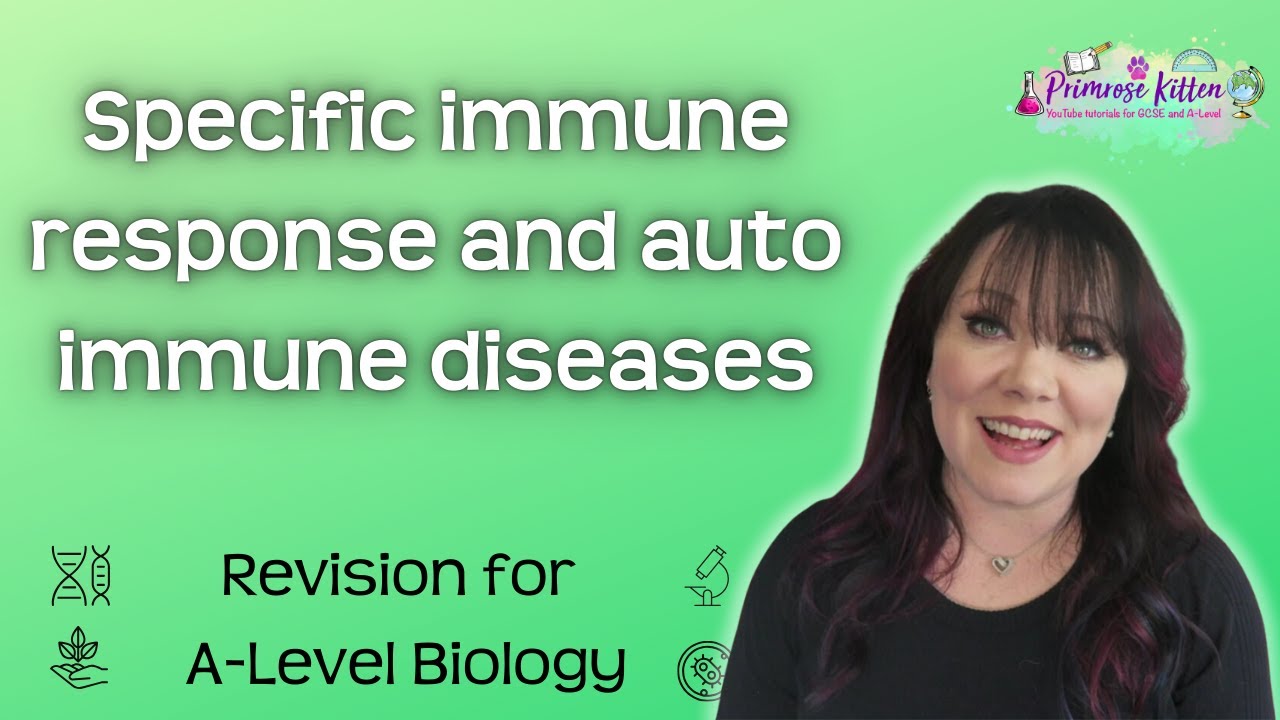 Specific immune response and auto immune diseases | Revision for ...
