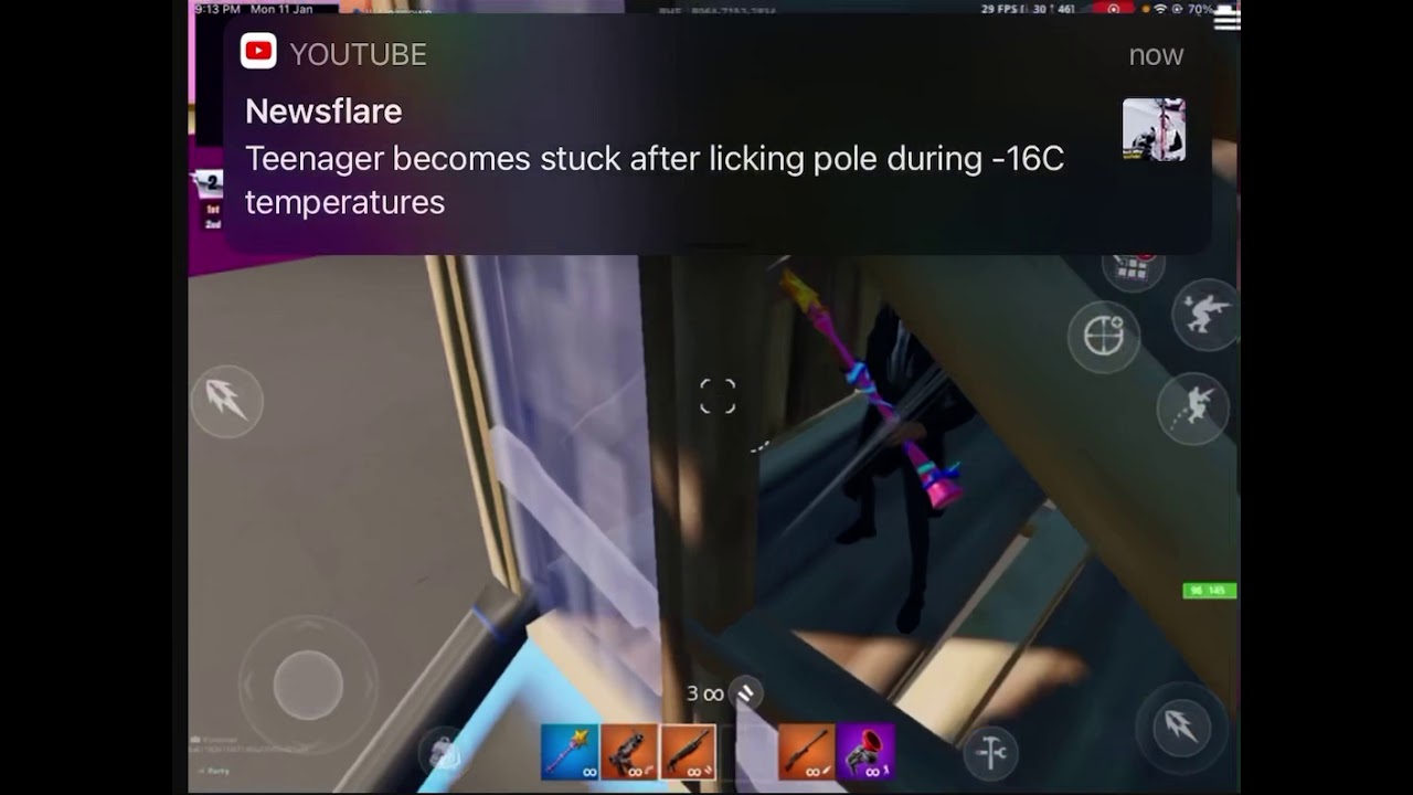 TWO CLIPS AND PLAYING WITH RUBICUNDO - YouTube