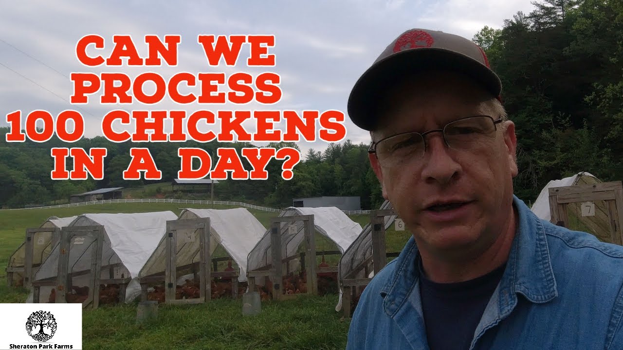 Processing Chickens Like Joel Salatin - Polyface Farm Process - YouTube