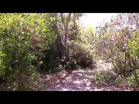 The Really Vampire #African vampire #coming soon