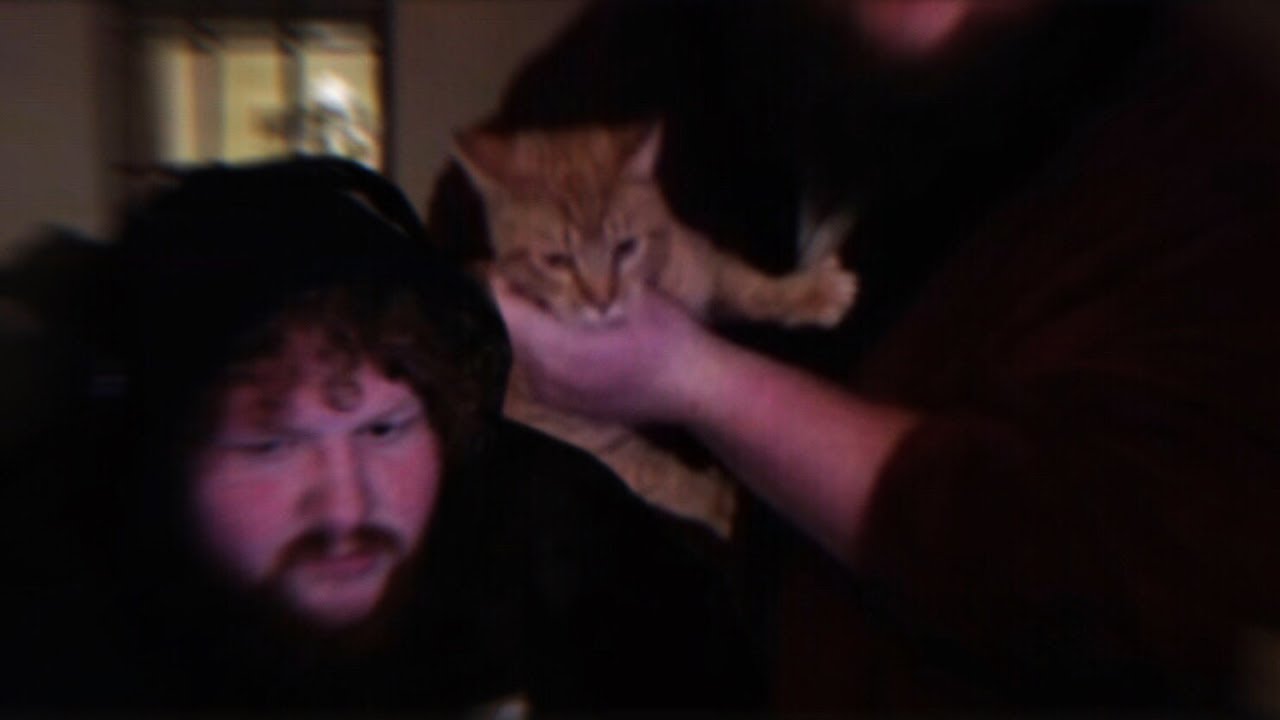 CaseOh Gets a NEW CAT! 🐈 - YouTube